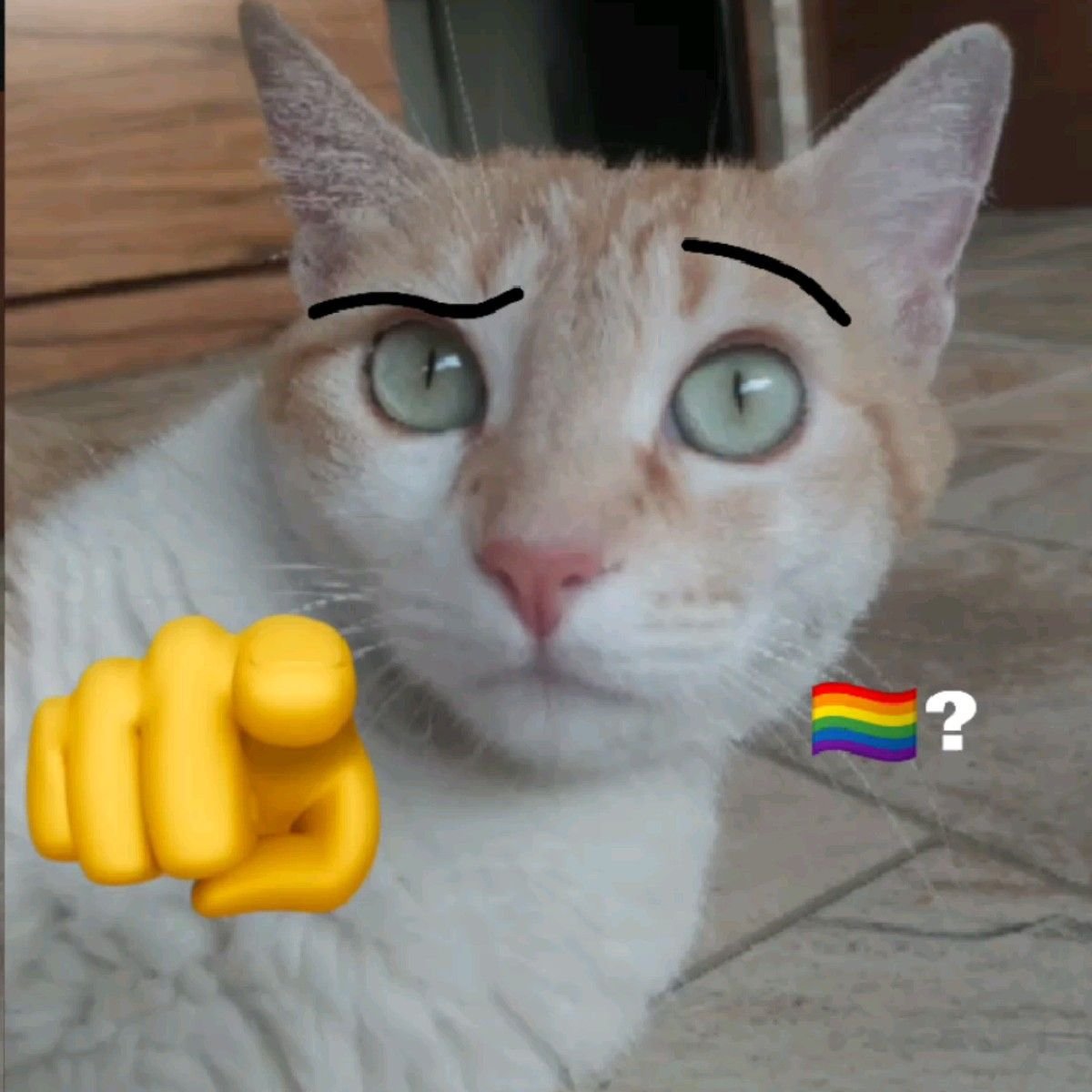 cat sus 🫵🏻🏳️‍🌈🤨? - Ulti