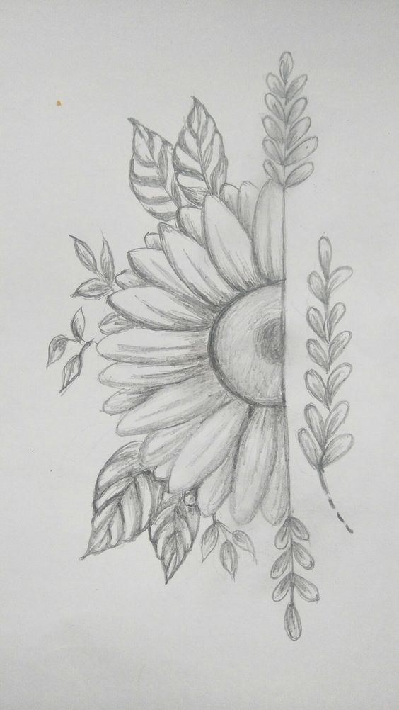 Easy Drawing Ideas For Beginners To Boost Drawing Skills - Ulti