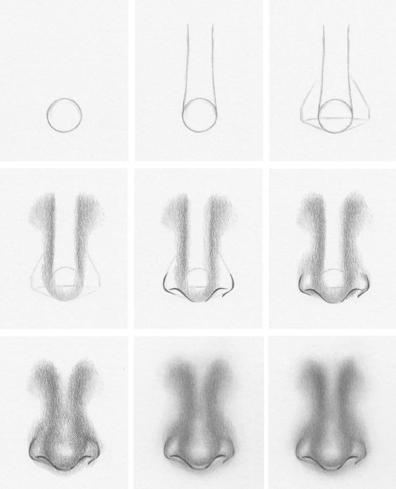 12 Flower Drawing Easy Tutorials For Beginners To Draw - Ulti