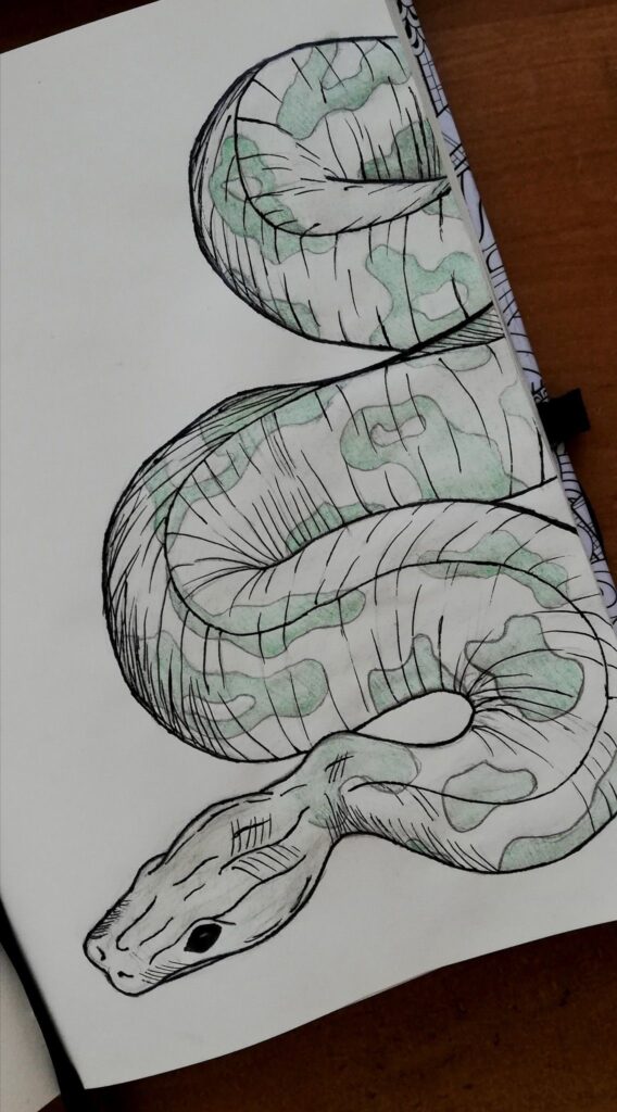 drawing snake - Ulti